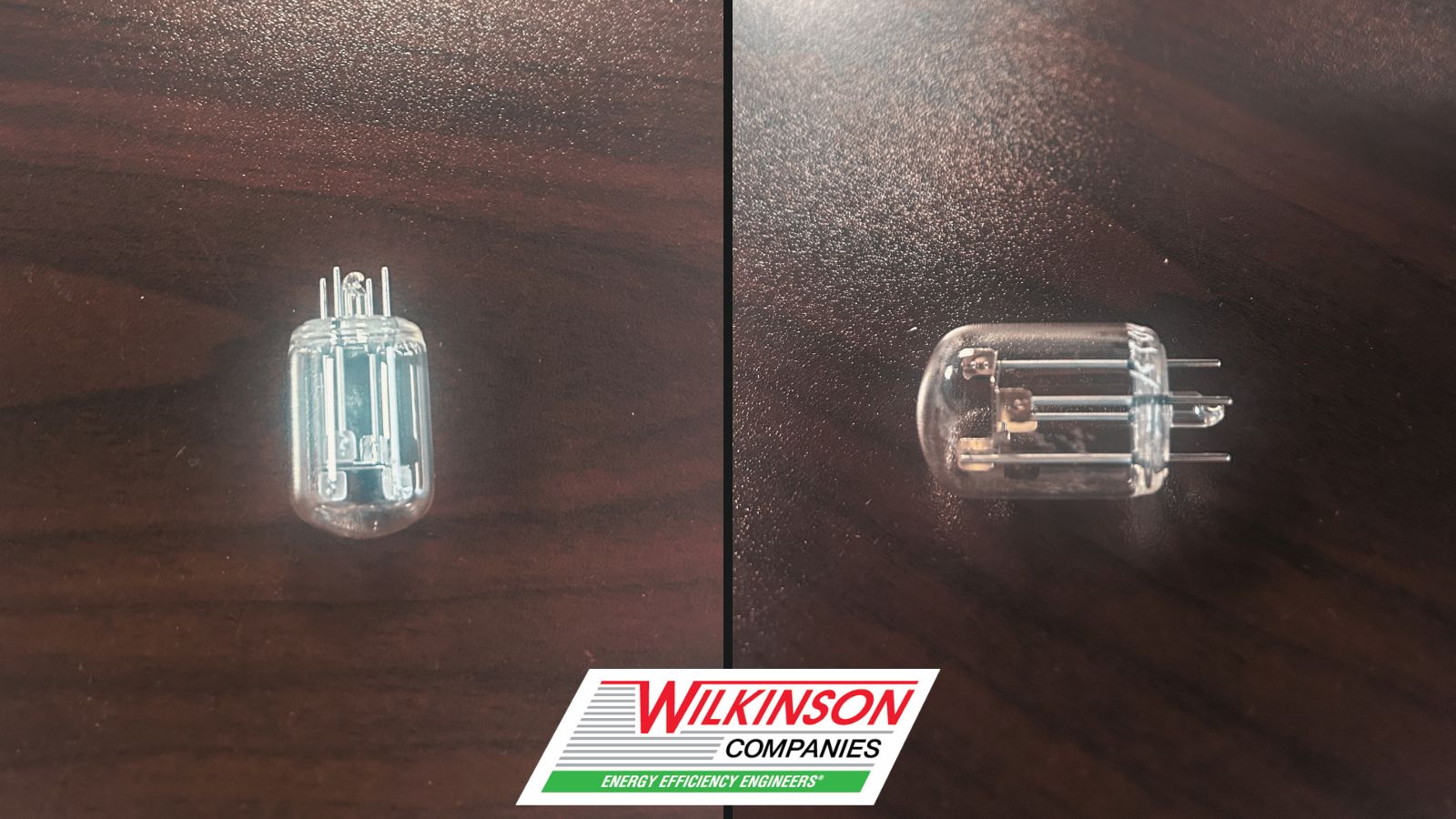 Name That Part: Answer Revealed Name That Part: Answer Revealed